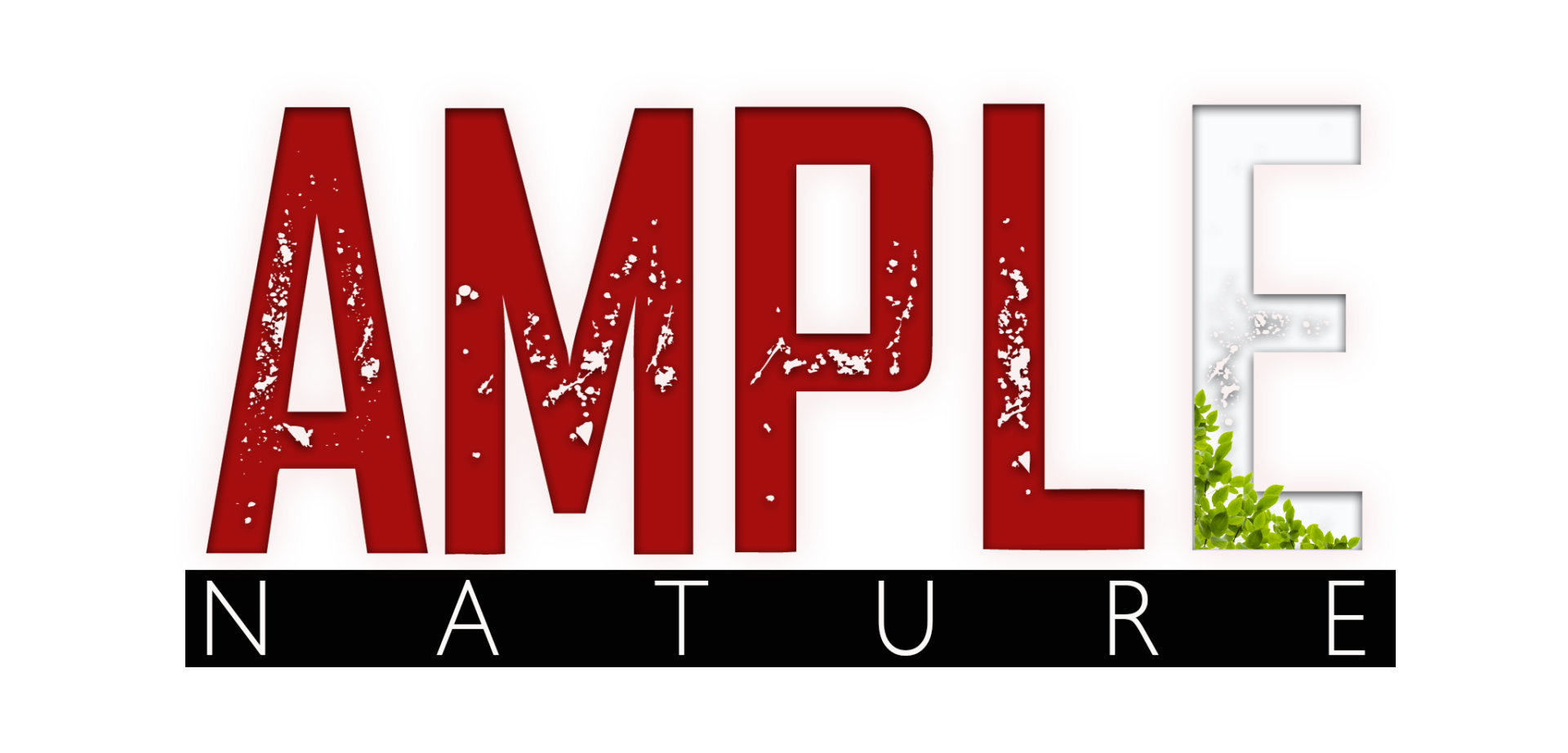 AMPLE LOGO large 2019 NATURE (1) • International Wildlife Film Festival