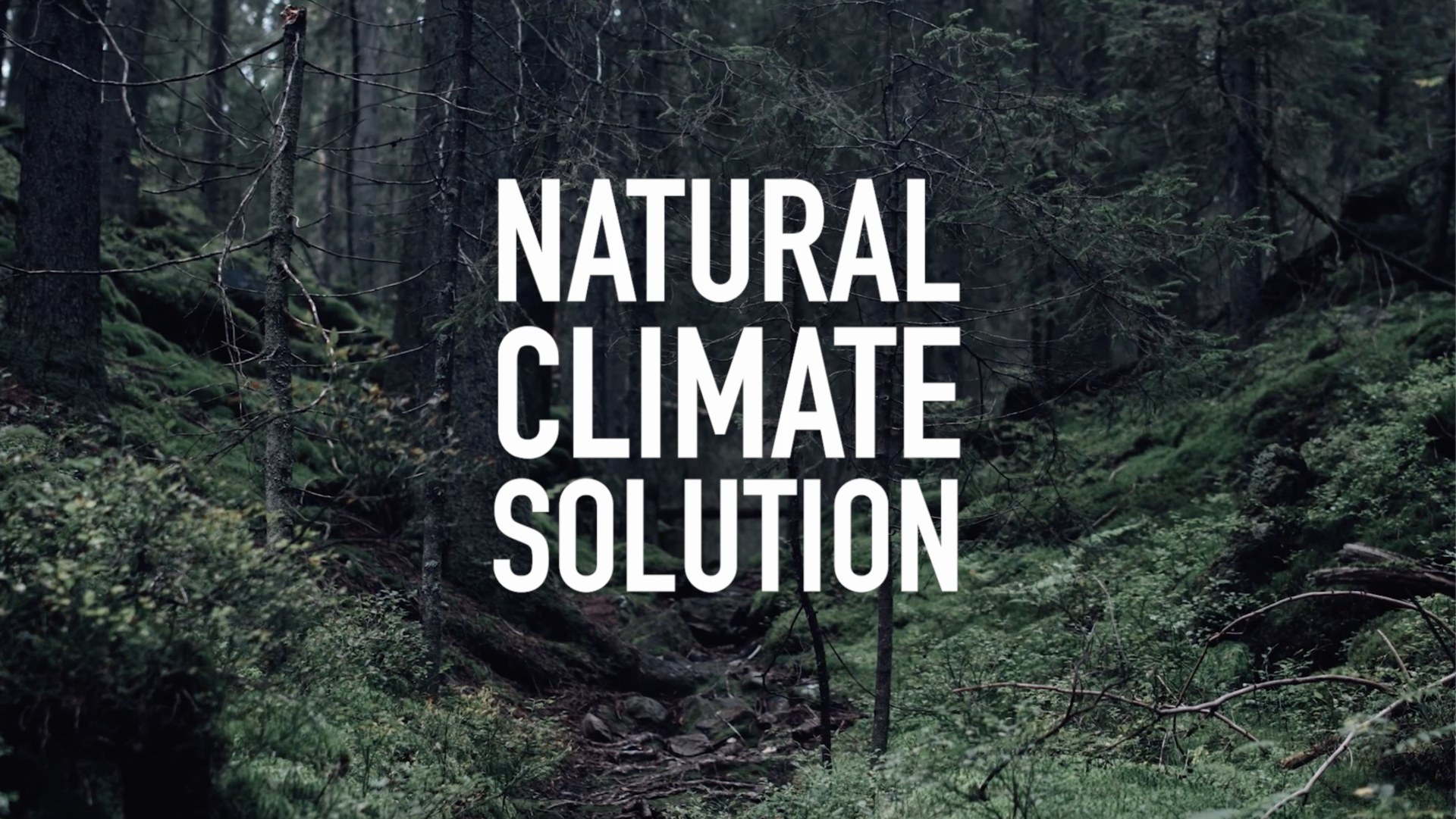 NATURAL CLIMATE SOLUTION • International Wildlife Film Festival