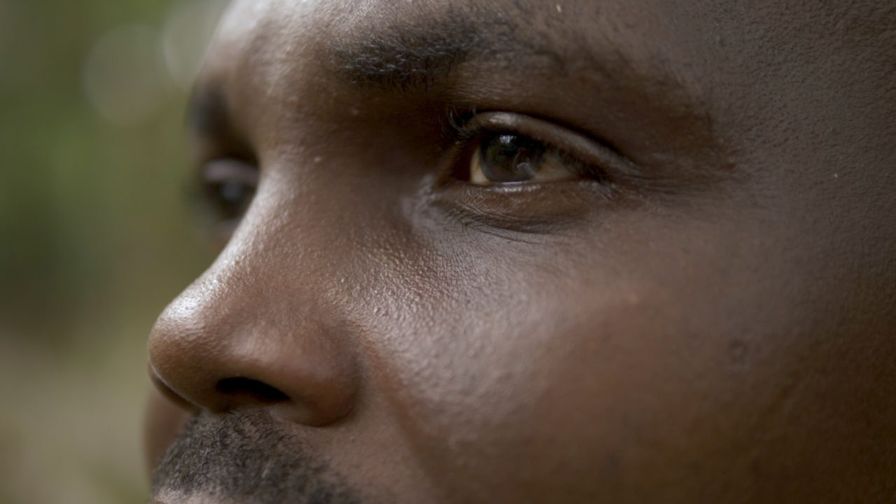 Photo 1 Mark_CU_portrait • International Wildlife Film Festival