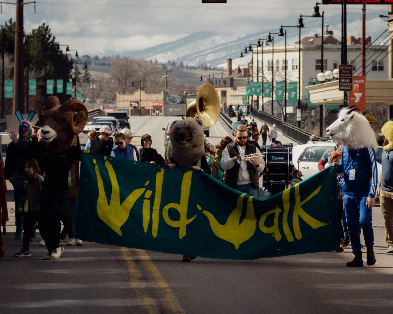 WildWalk+WildFest • International Wildlife Film Festival
